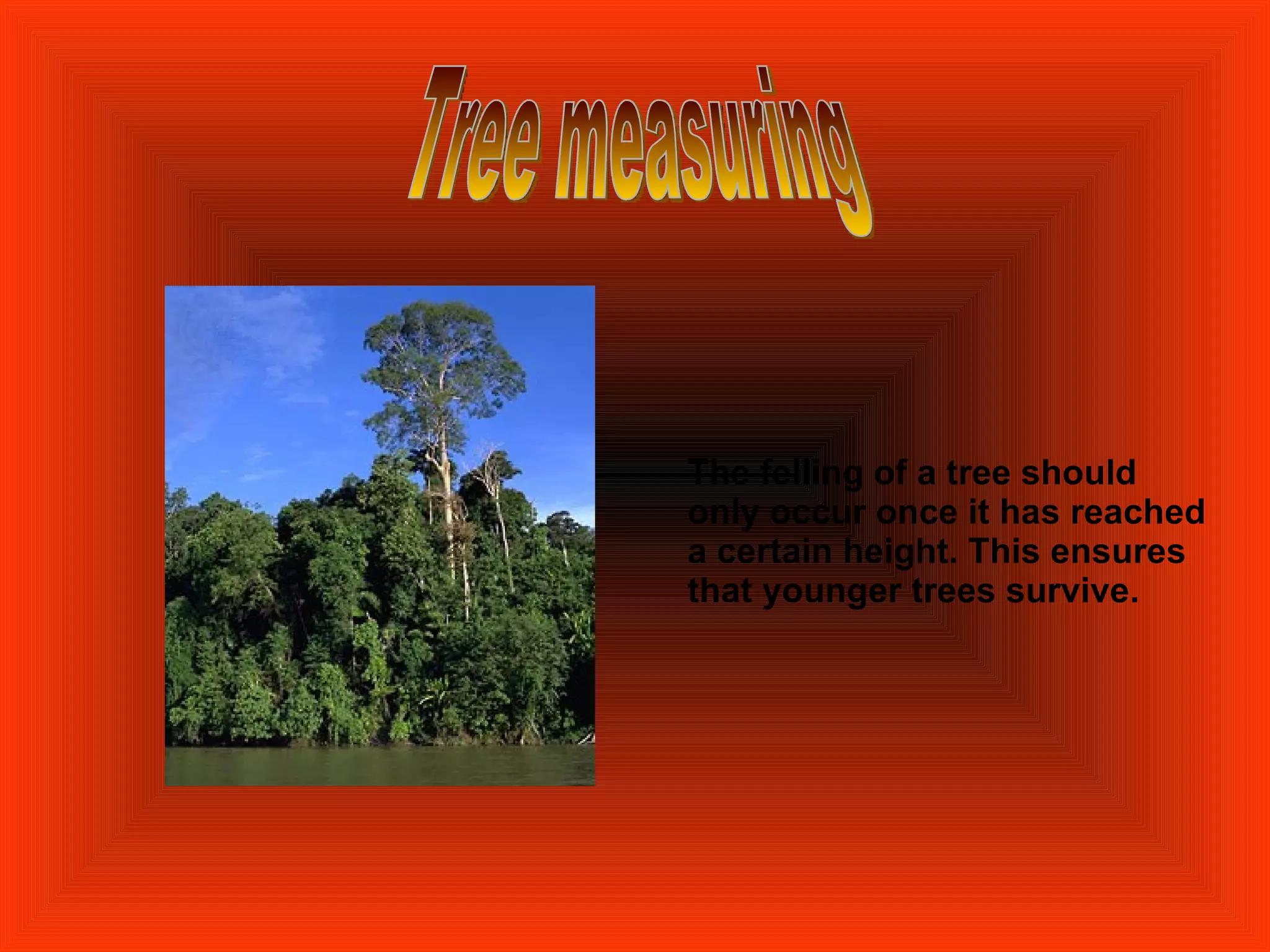 destruction of rainforest | PPT