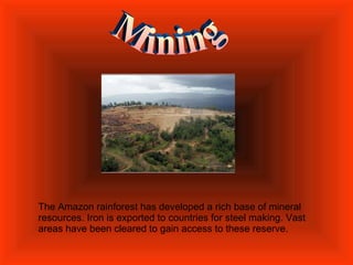 destruction of rainforest | PPT