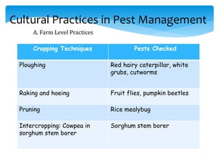 Destruction of Insect Pest by Cultural and Mechanical Control | PPTX