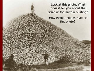 Destruction Of The Buffalo | PPT