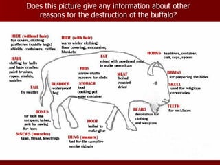 Destruction Of The Buffalo | PPT
