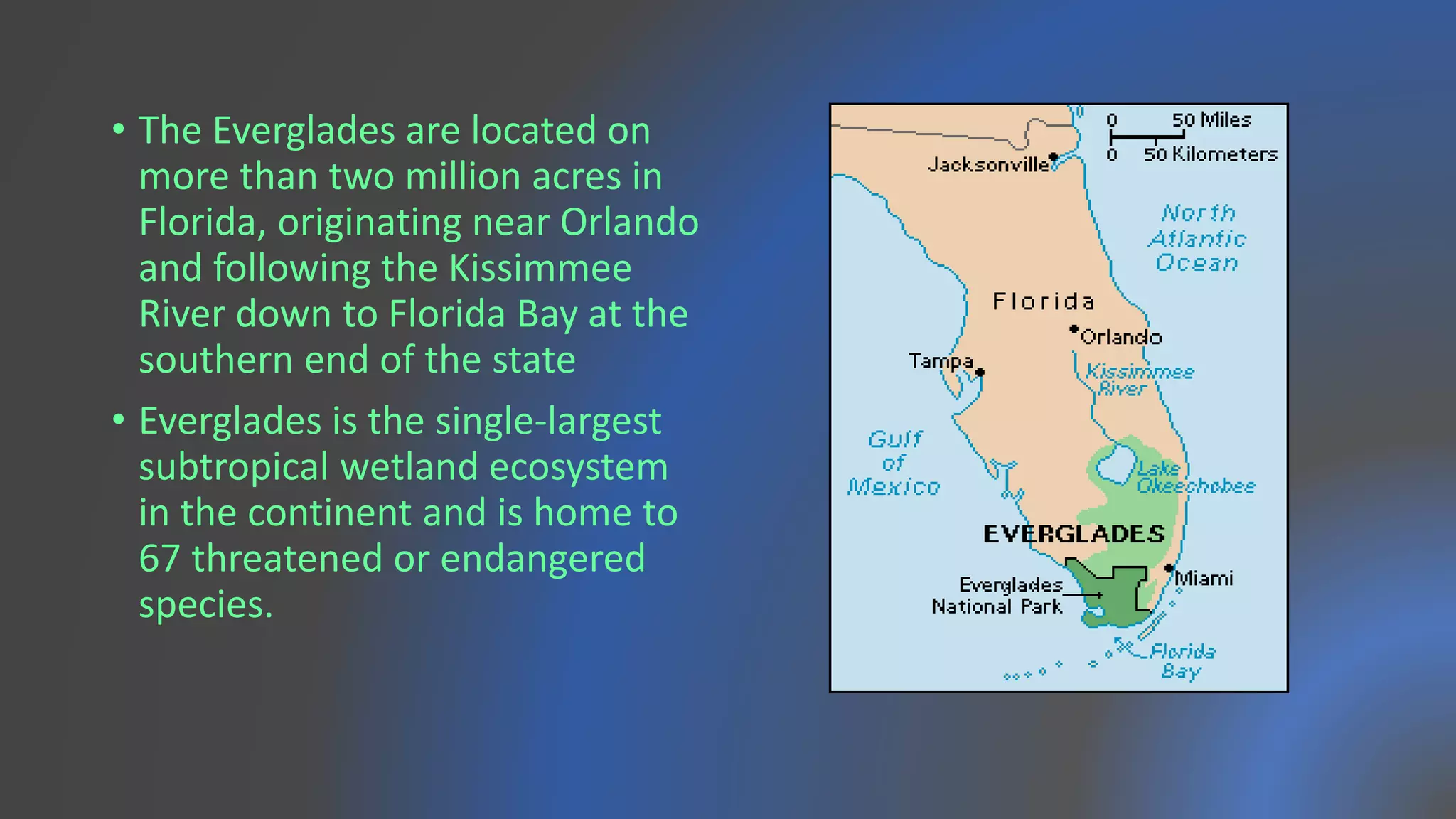 Destruction of the everglades | PPT