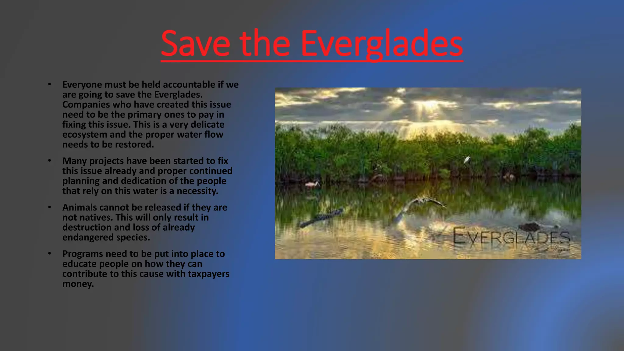 Destruction of the everglades | PPT