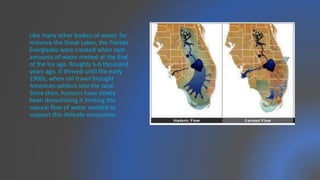 Destruction of the everglades | PPTX