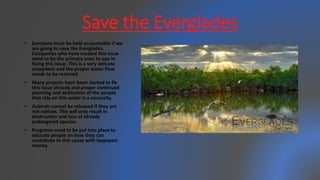 Destruction of the everglades | PPT
