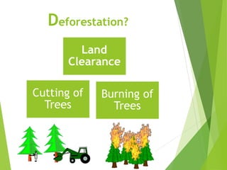 Destruction of tropical rainforests | PPT