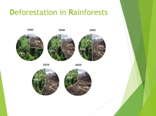 Destruction of tropical rainforests | PPT