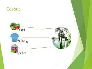 Destruction of tropical rainforests | PPT