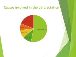 Destruction of tropical rainforests | PPT
