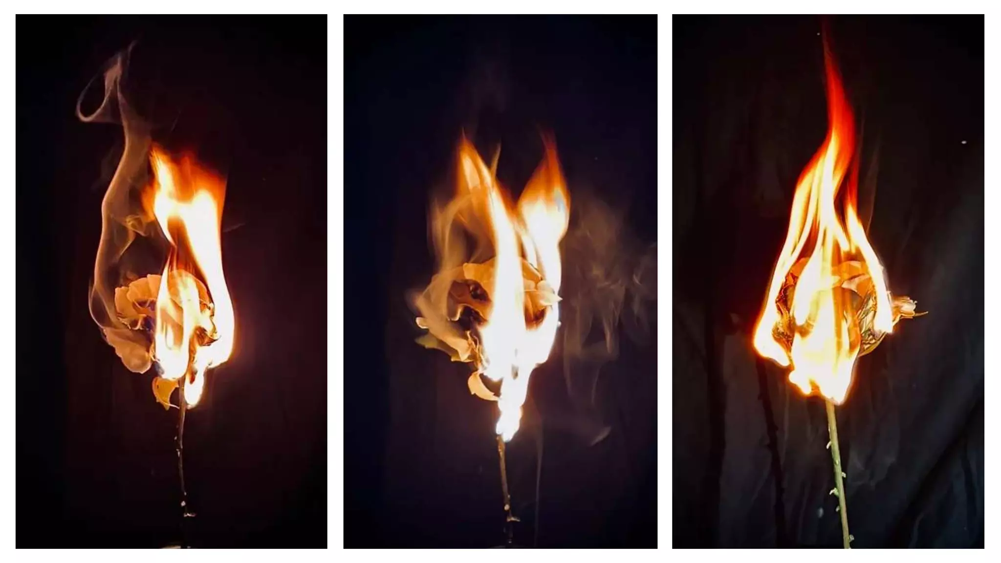 Destruction Photography | PPT