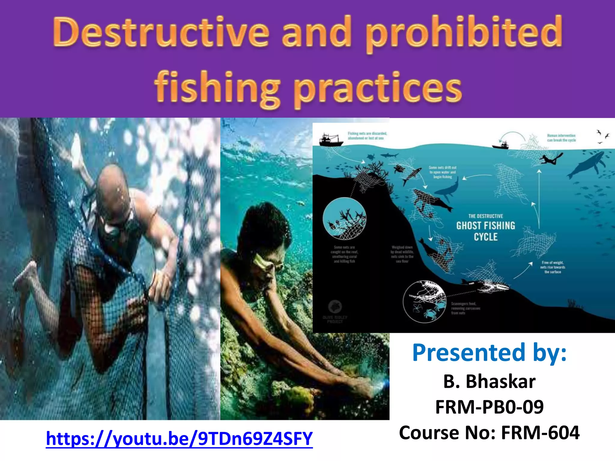 Destructive and prohibited fishing practices | PPTX | Zoos & Aquariums ...