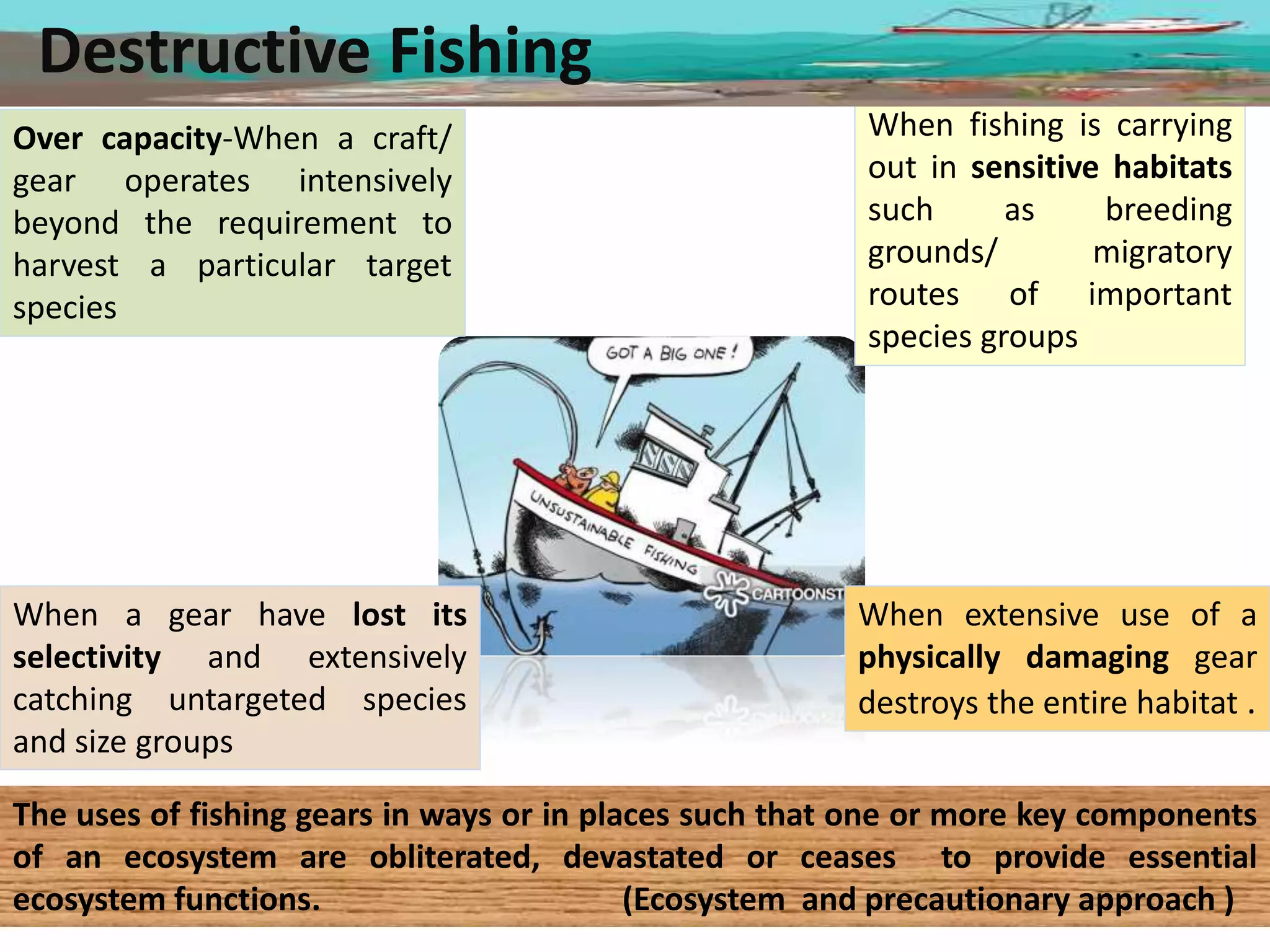 Destructive fishing plans and measures | PPTX