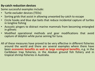 Destructive fishing plans and measures | PPTX