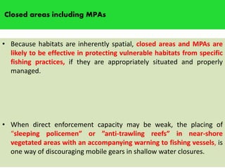 Destructive fishing plans and measures | PPTX