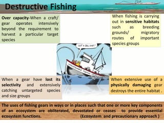 Destructive fishing plans and measures | PPTX