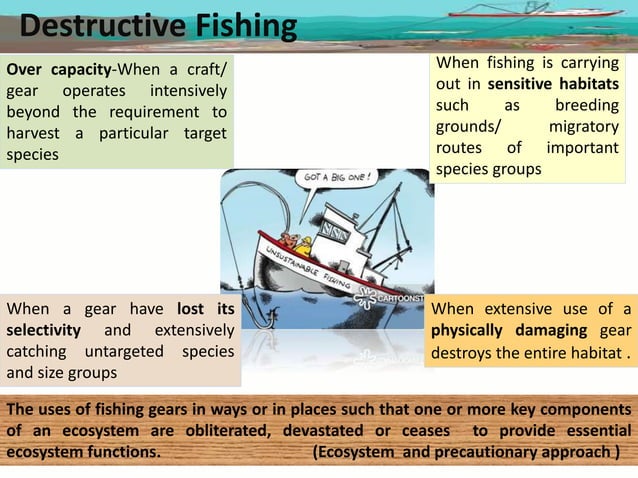 Destructive fishing plans and measures | PPTX