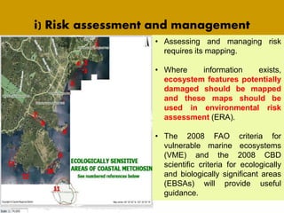 Destructive fishing plans and measures | PPTX
