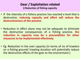 Destructive fishing plans and measures | PPTX