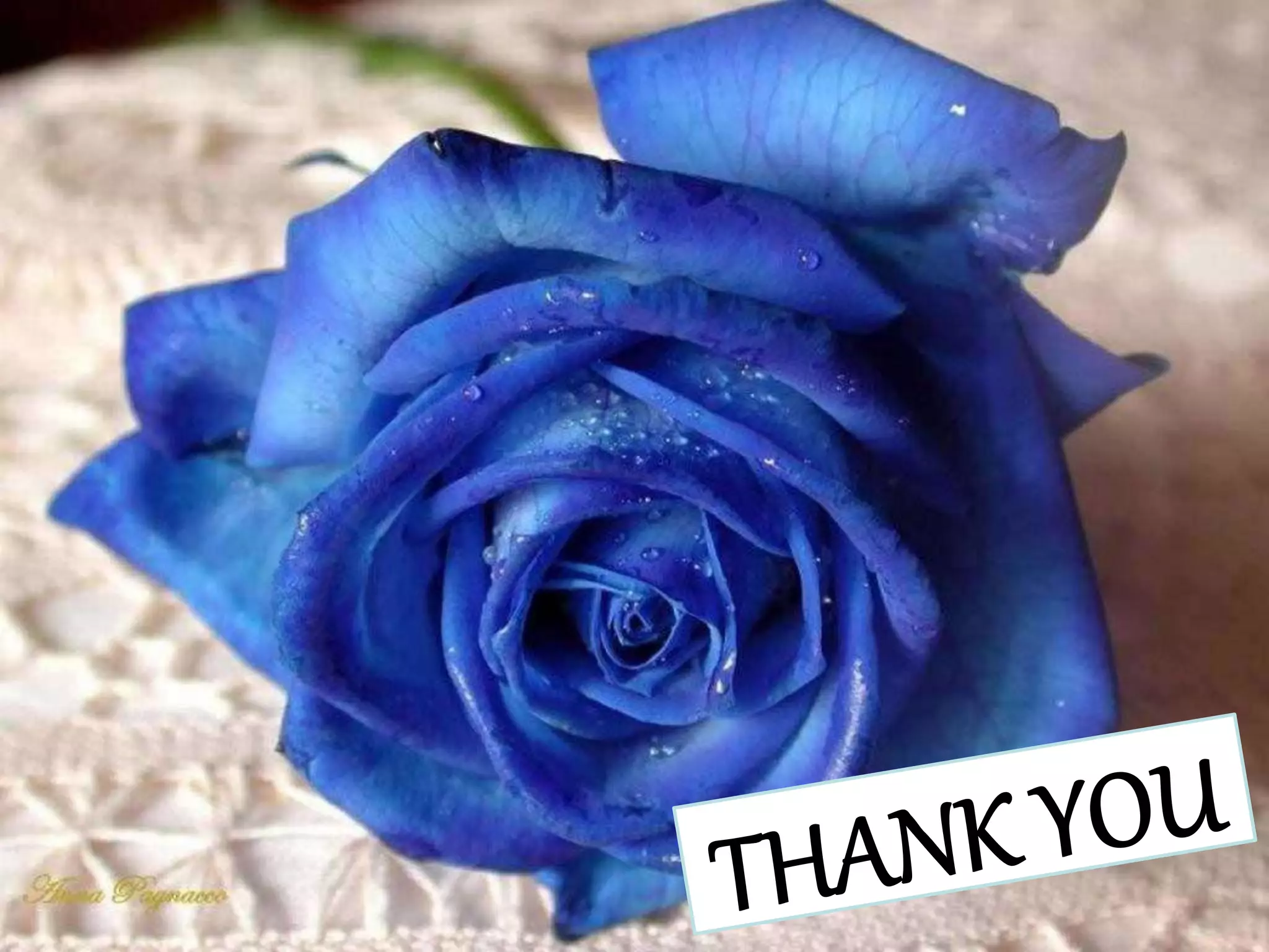 Destructive operation | PPT