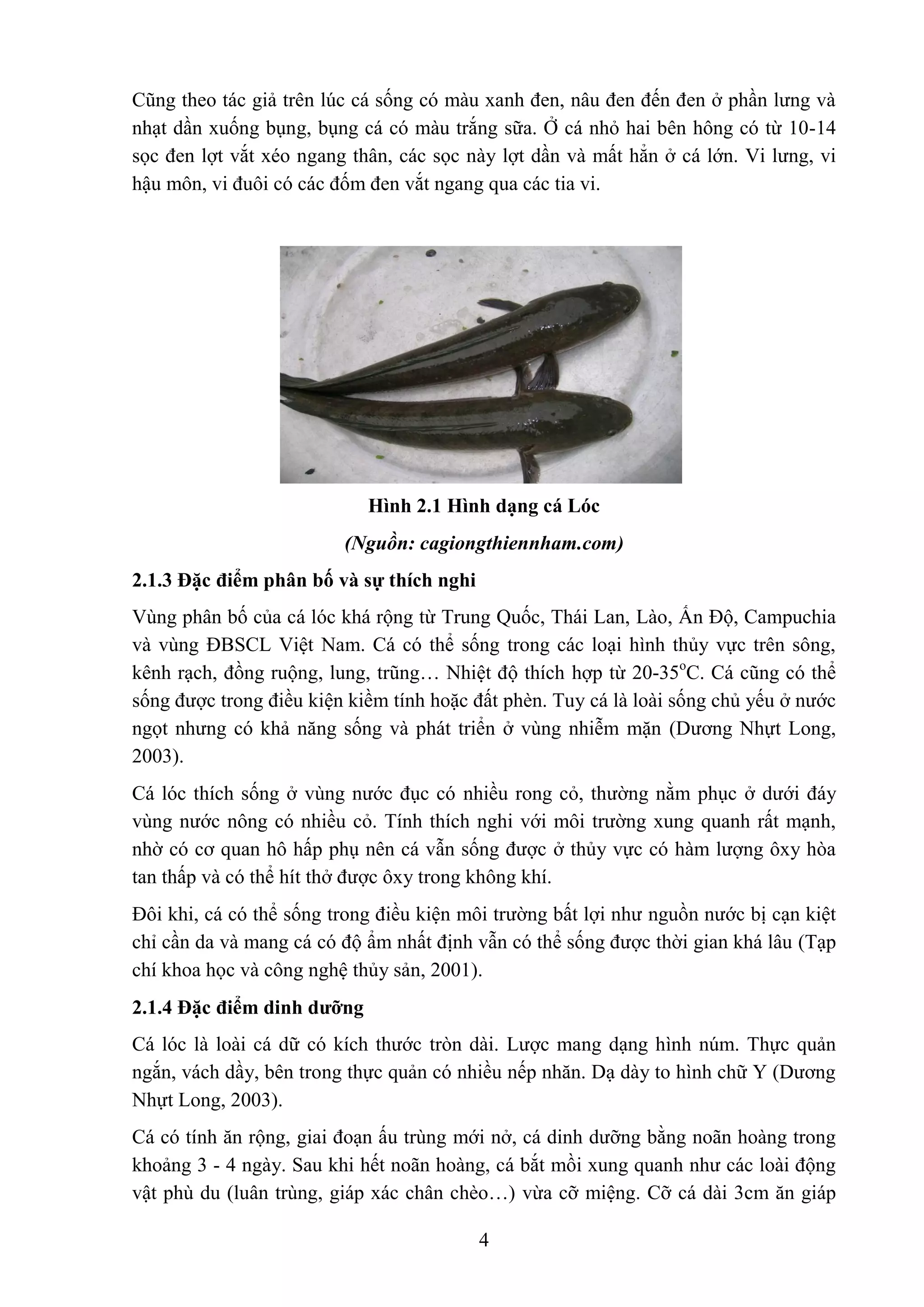 Hiệu quả kinh tế - kỹ thuật của mô hình nuôi cá Lóc trong ao đất | PDF