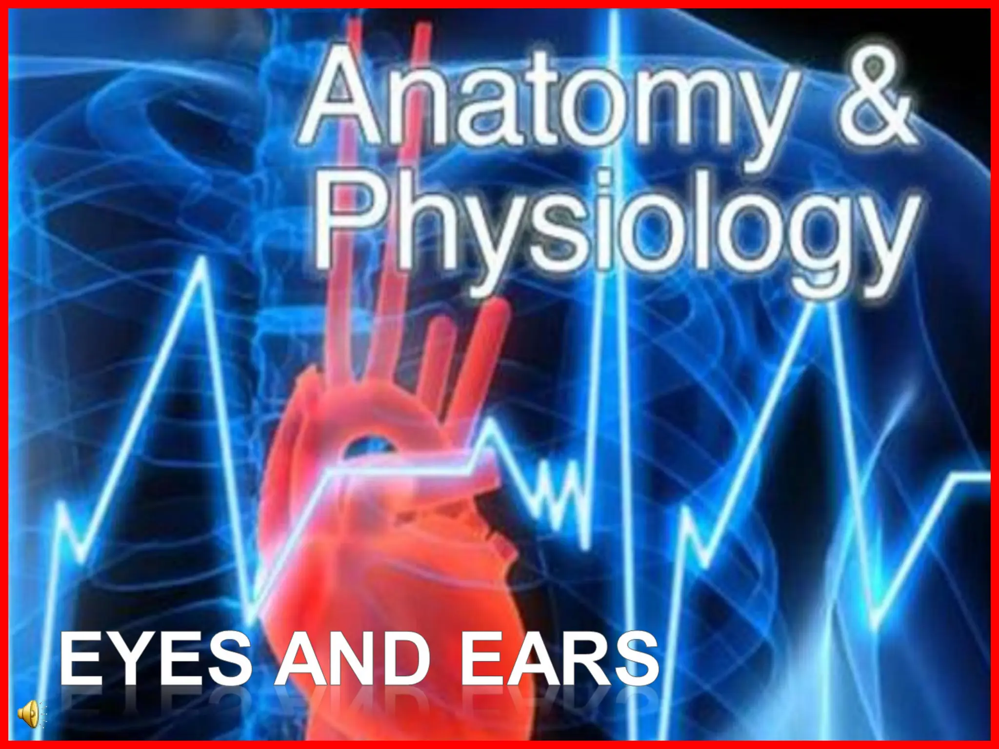 DETAILED ANATOMY OF EYES AND EARS WITH IMAGES | PPT