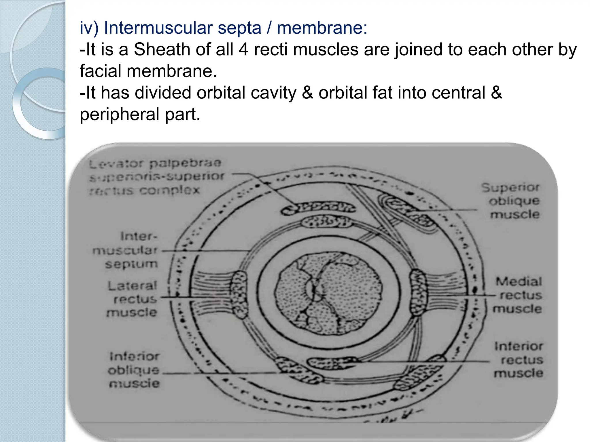 DETAILED ANATOMY OF ORBIT WITH ITS SURROUNDINGS | PPT