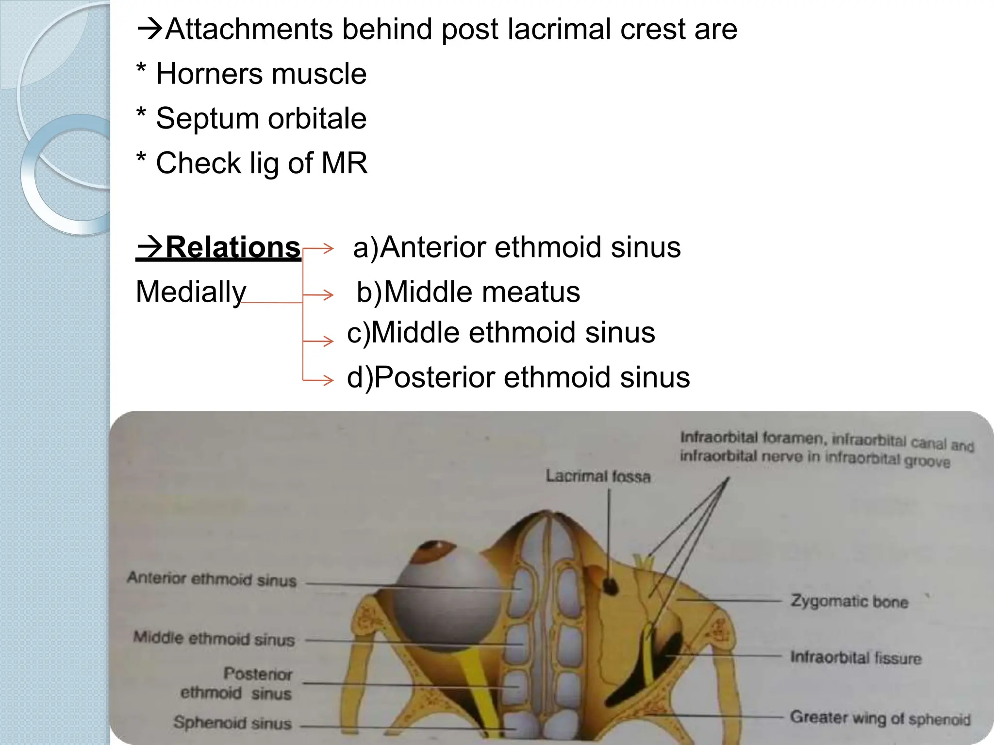 DETAILED ANATOMY OF ORBIT WITH ITS SURROUNDINGS | PPT
