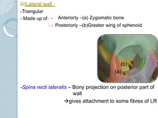 DETAILED ANATOMY OF ORBIT WITH ITS SURROUNDINGS | PPT