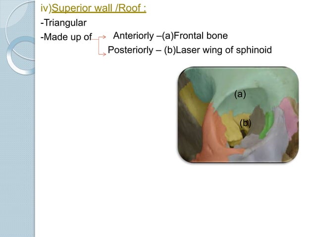 DETAILED ANATOMY OF ORBIT WITH ITS SURROUNDINGS | PPT