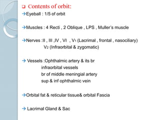 DETAILED ANATOMY OF ORBIT WITH ITS SURROUNDINGS | PPT