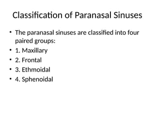 Detailed_Anatomy_of_Paranasal_Sinuses_Presentation (1).pptx