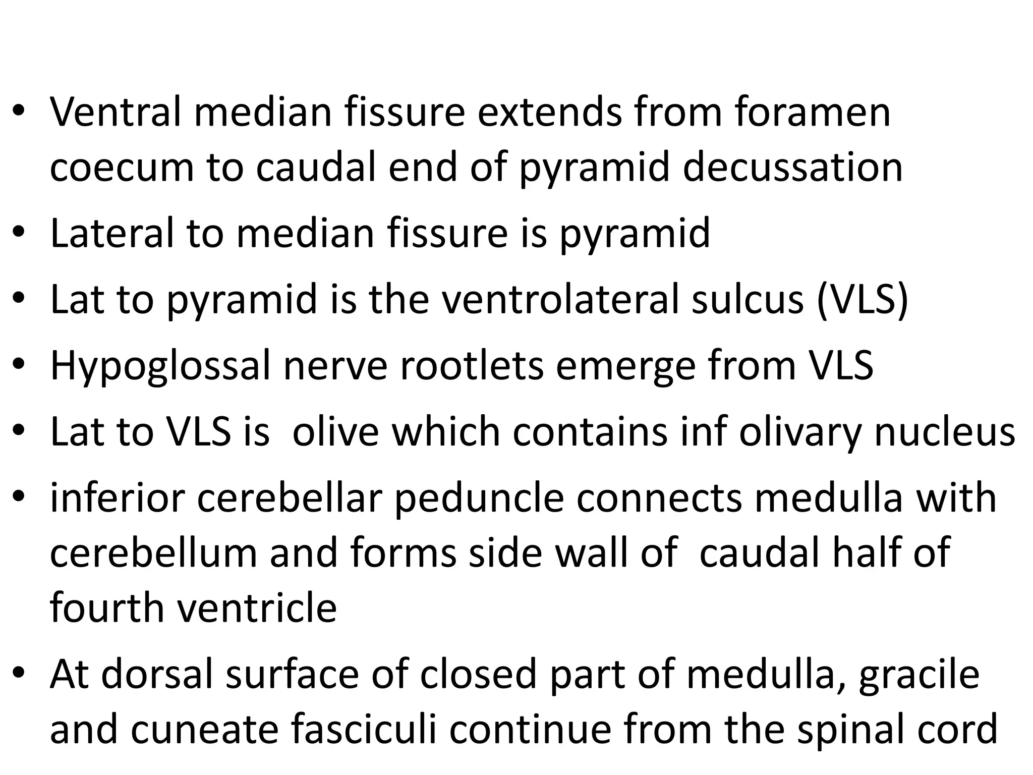 DETAILED ANATOMY OF THE MEDULLA | PPTX