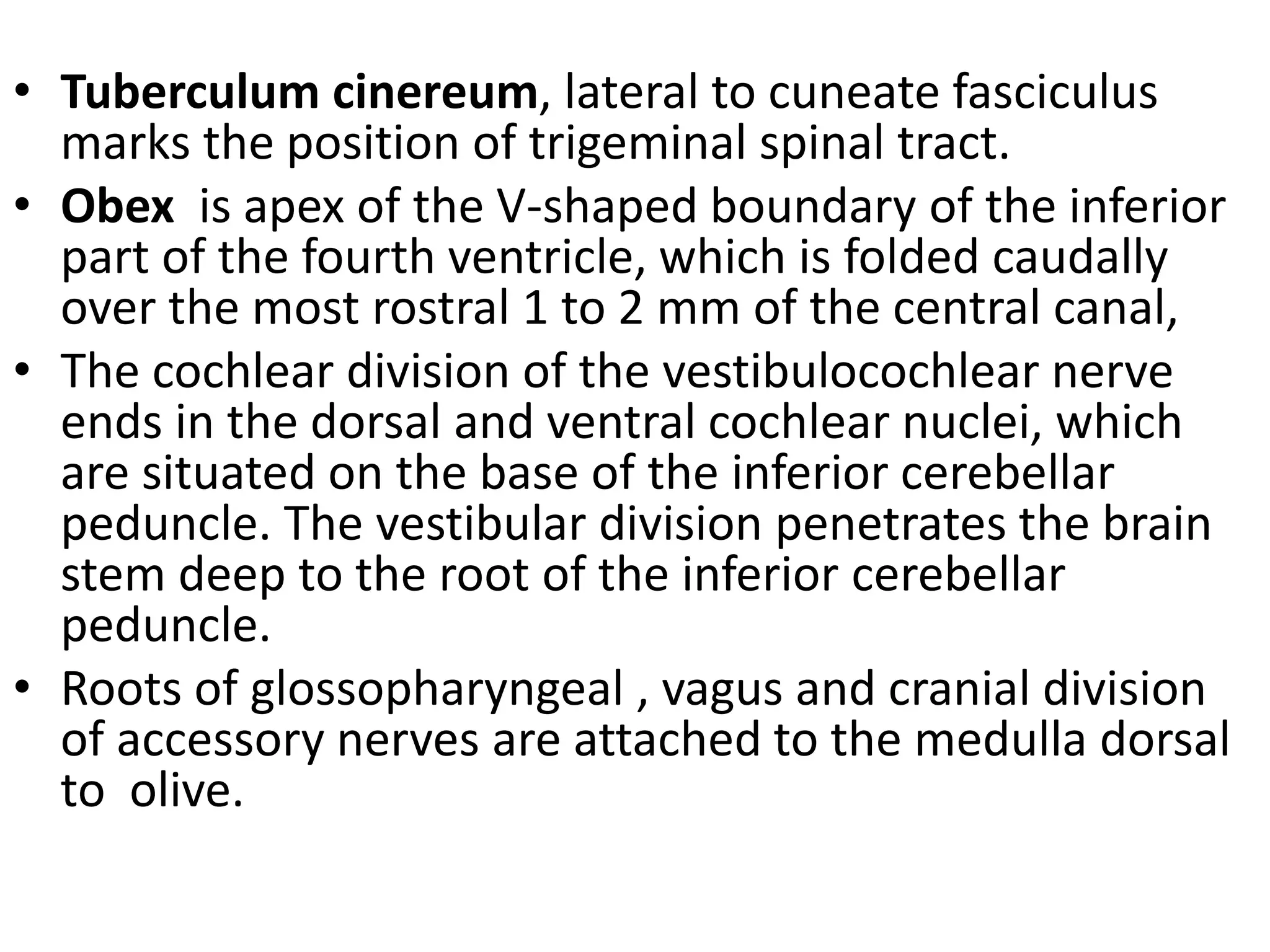 DETAILED ANATOMY OF THE MEDULLA | PPTX