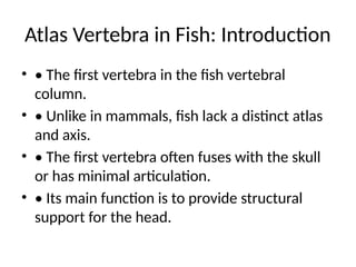 Detailed_Atlas_Axis_Fish_Rat_Study for anatomy | PPTX
