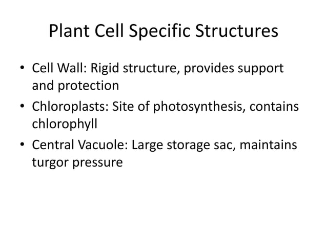 Detailed_Cell_Structure_and_Function (1).pptx