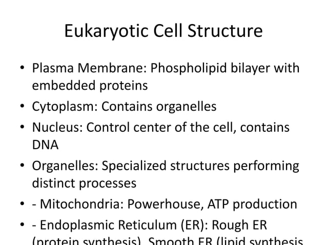 Detailed_Cell_Structure_and_Function (1).pptx