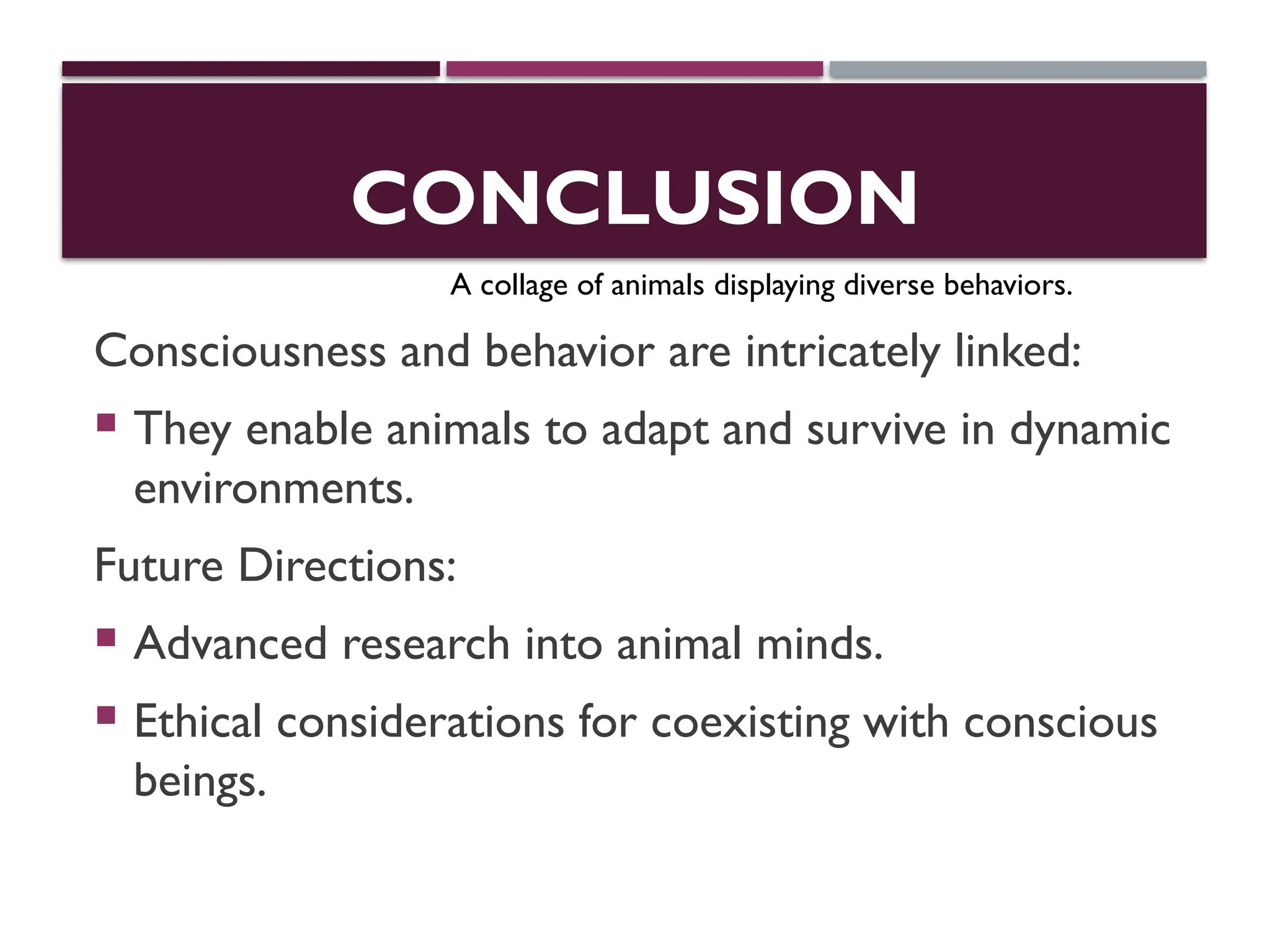 Detailed_Consciousness_and_Behavior_Presentation.pptx