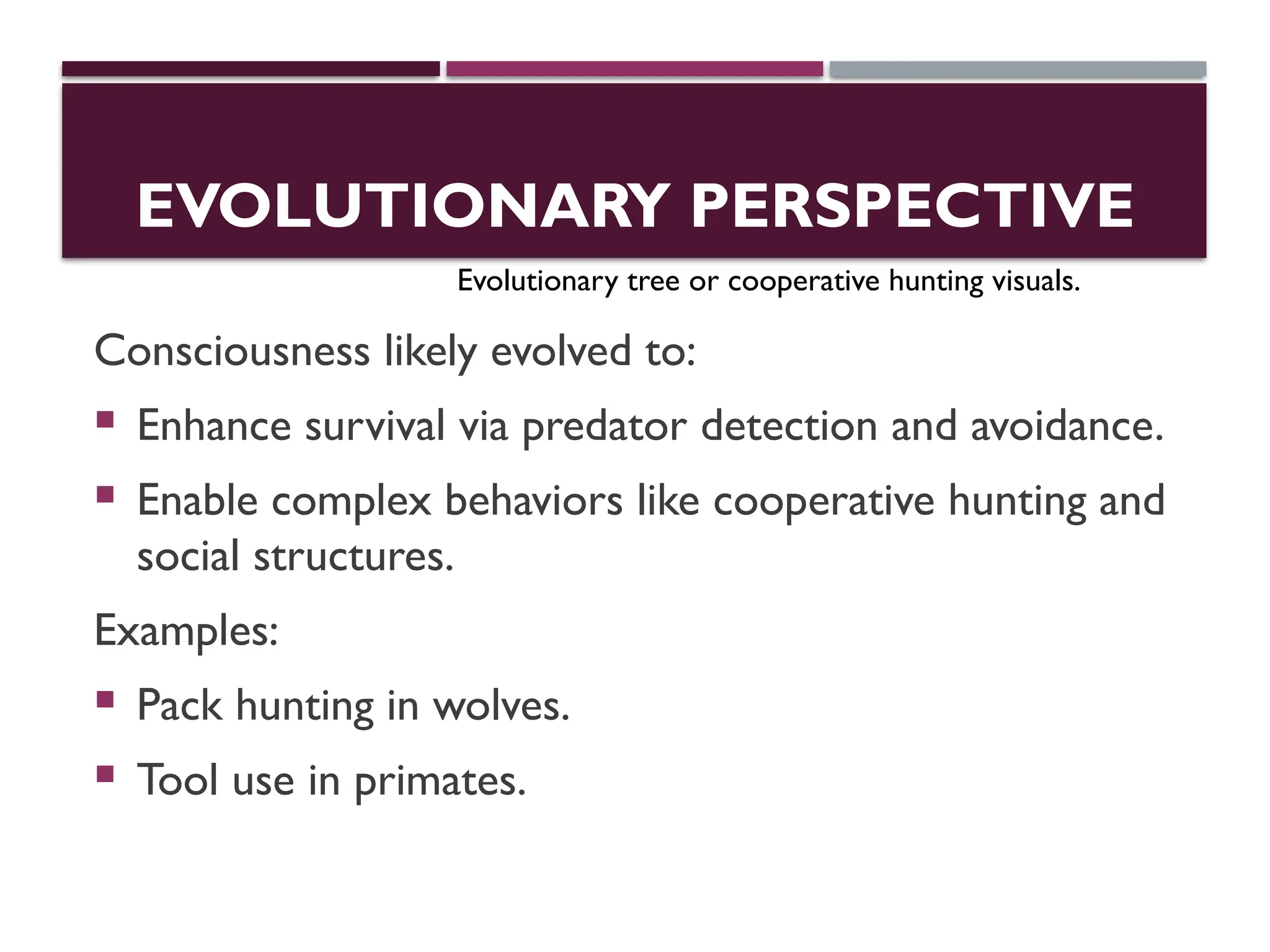 Detailed_Consciousness_and_Behavior_Presentation.pptx