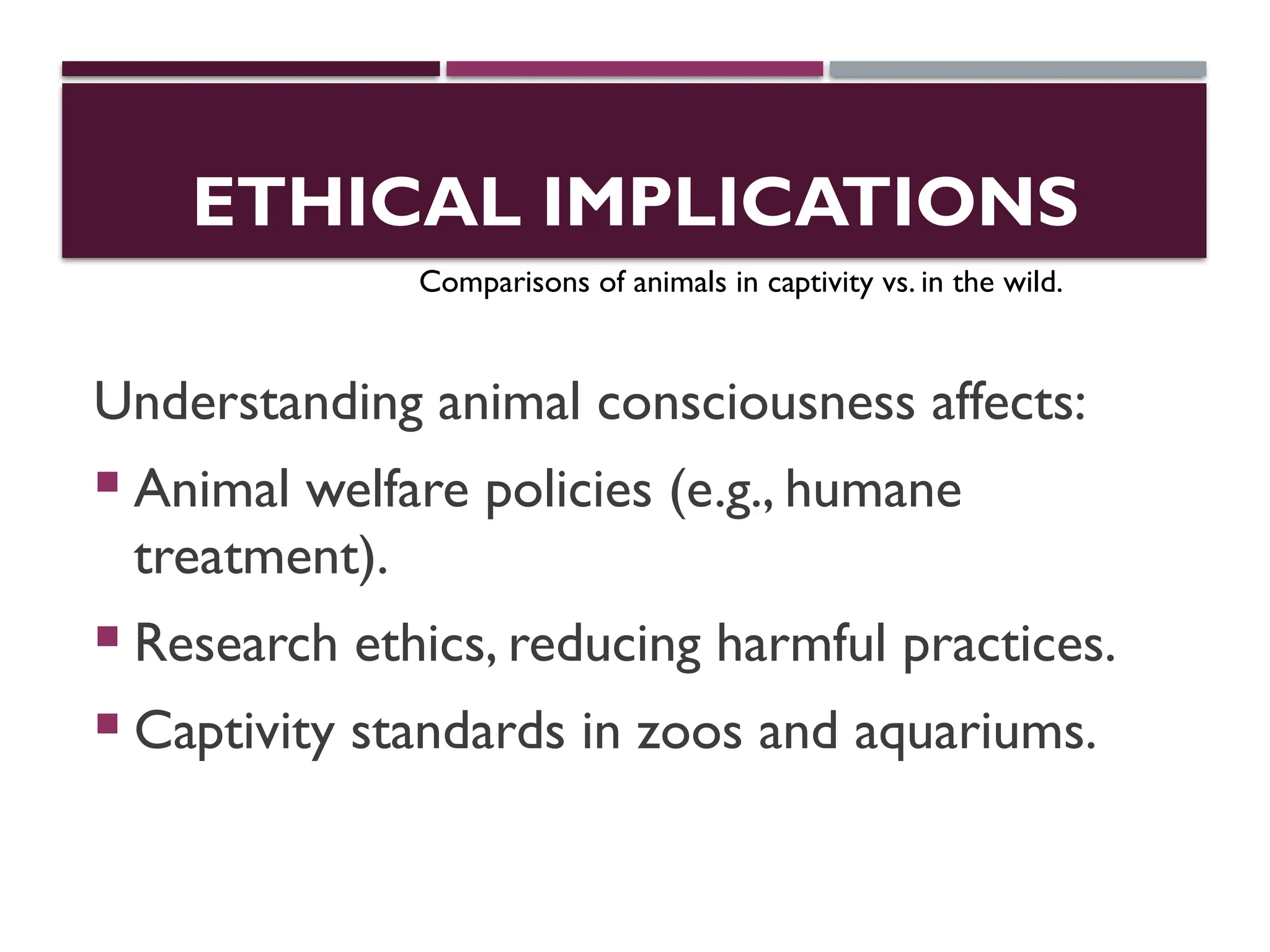 Detailed_Consciousness_and_Behavior_Presentation.pptx