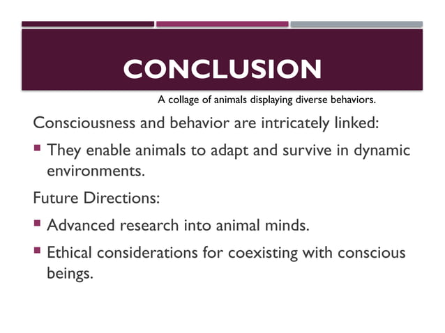 Detailed_Consciousness_and_Behavior_Presentation.pptx