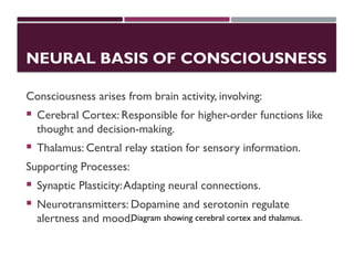 Detailed_Consciousness_and_Behavior_Presentation.pptx