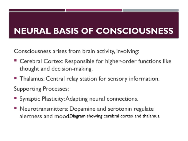 Detailed_Consciousness_and_Behavior_Presentation.pptx