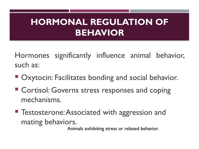 Detailed_Consciousness_and_Behavior_Presentation.pptx