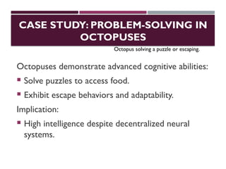 Detailed_Consciousness_and_Behavior_Presentation.pptx