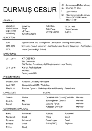Detailed CV | PDF