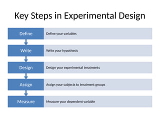Detailed_Experimental_Design_Presentation.pptx