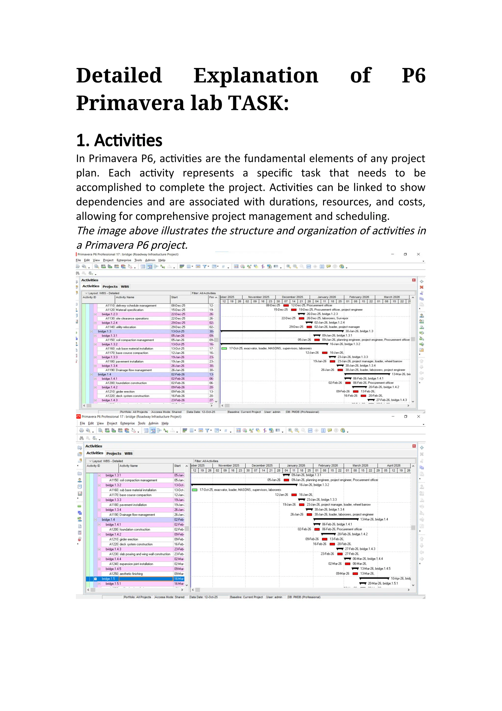 Detailed Explanation of P6 Primavera Functions.docx