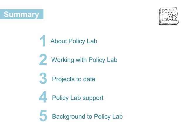 Detailed guide to working with and commissioning Policy Lab | PDF