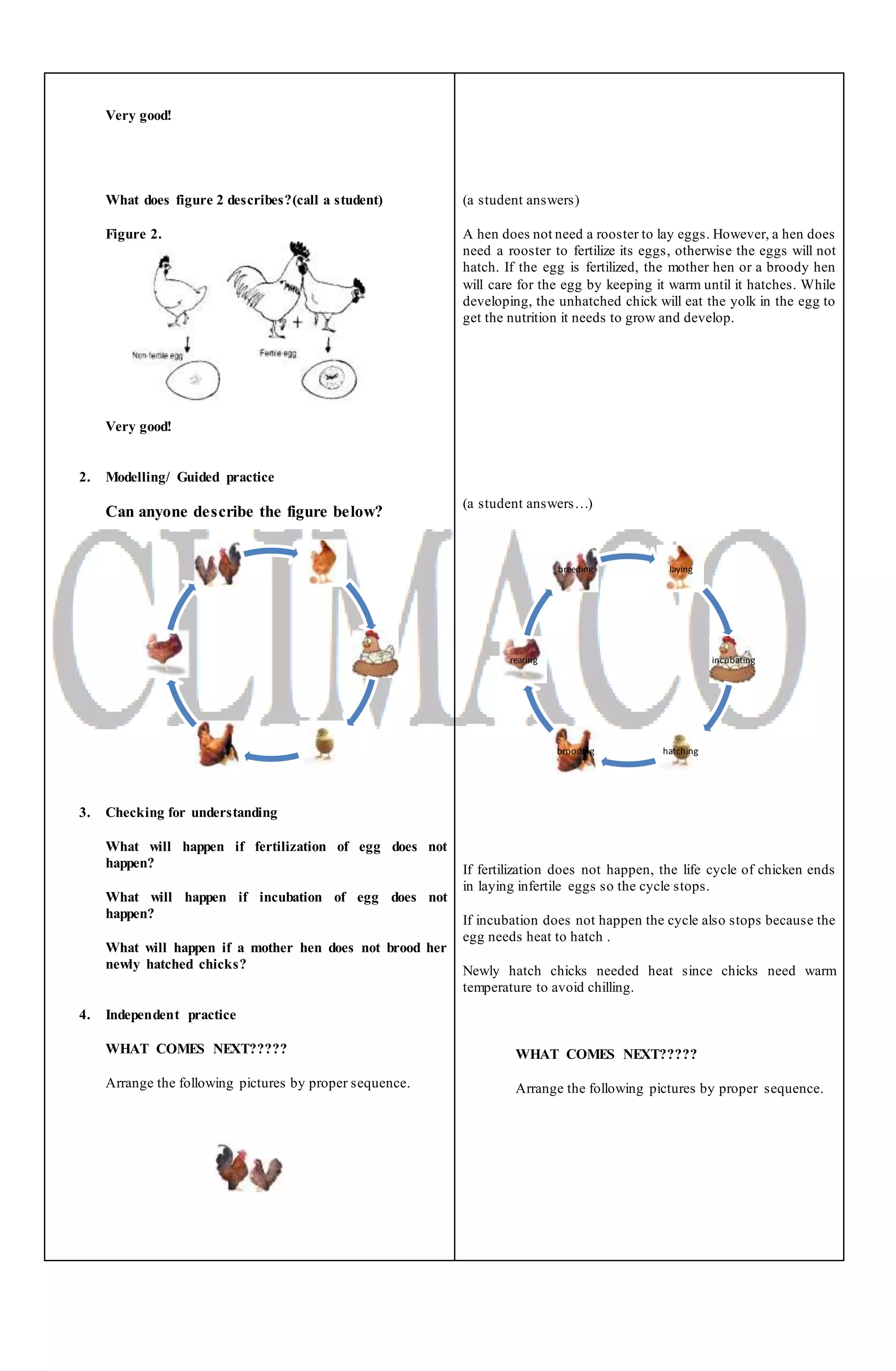 Detailed lesson plan in Animal Production | DOCX
