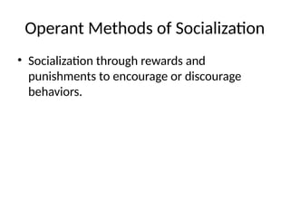 Detailed_Socialization_Presentation.pptx